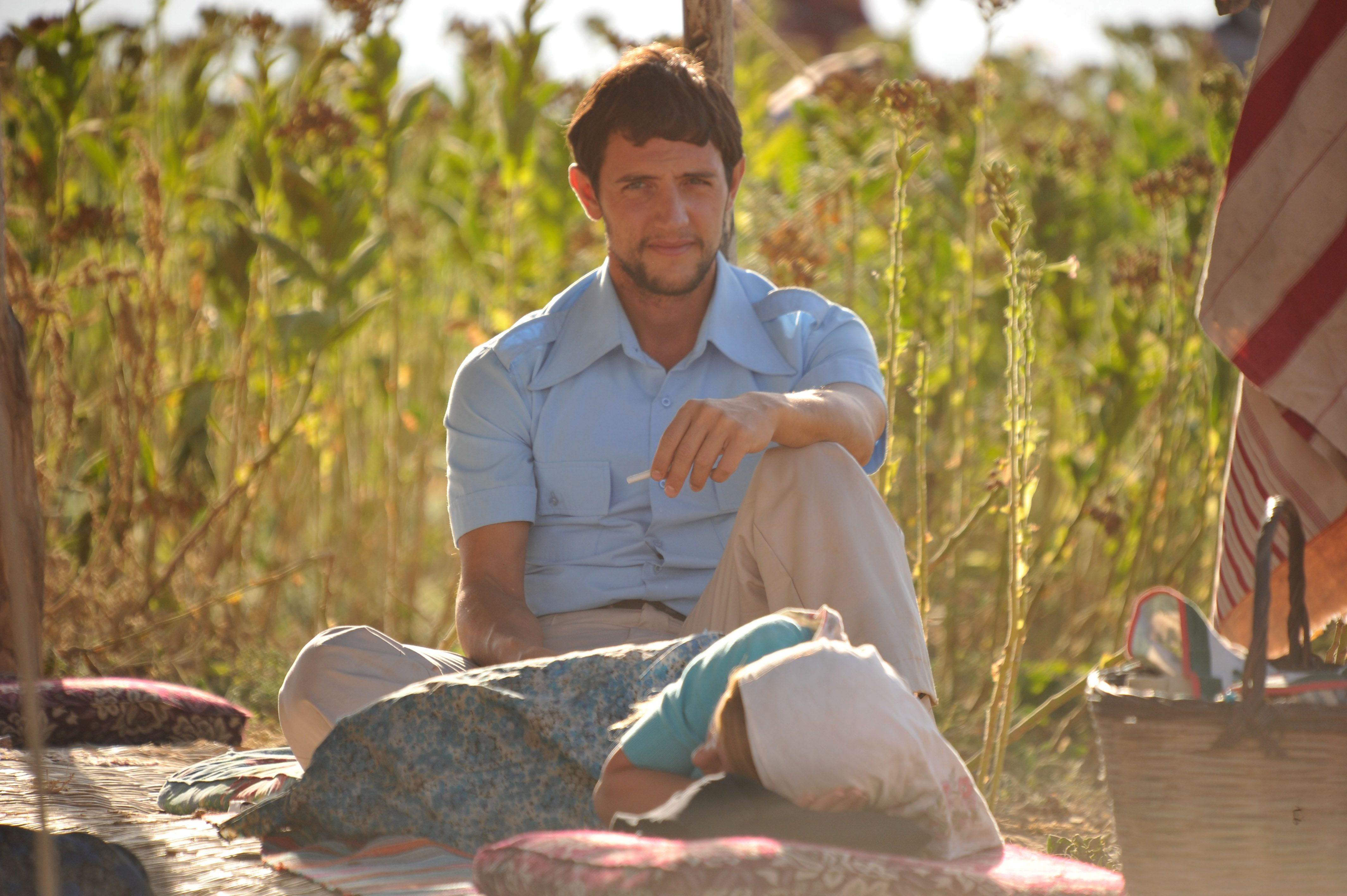 Blog Posts - herebfiles