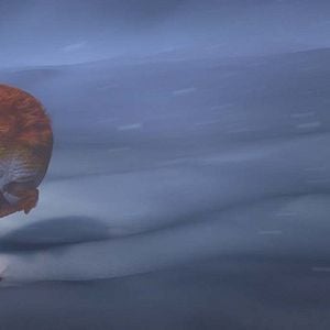 Puloi: Asla Yalnız Uçmayacaksın - 2018 filmi - Beyazperde.com