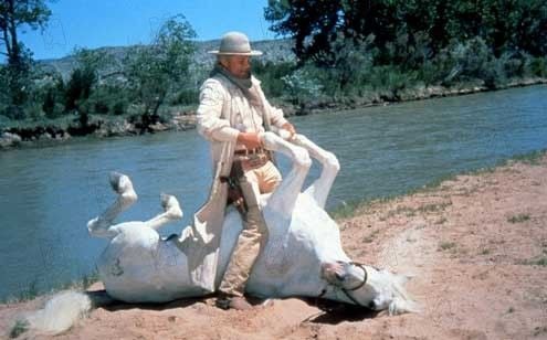 Red Kit resimleri - Fotoğraf 7 - Beyazperde.com