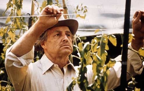 Baba resimleri - Fotoğraf 18 - Beyazperde.com