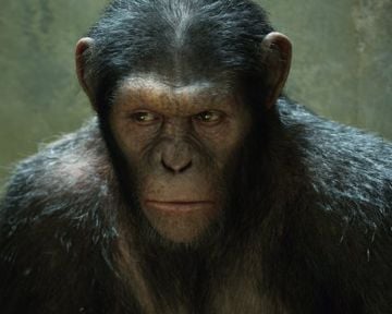 Maymunlar Cehennemi: Başlangıç Altyazılı Fragman (3) - Beyazperde.com