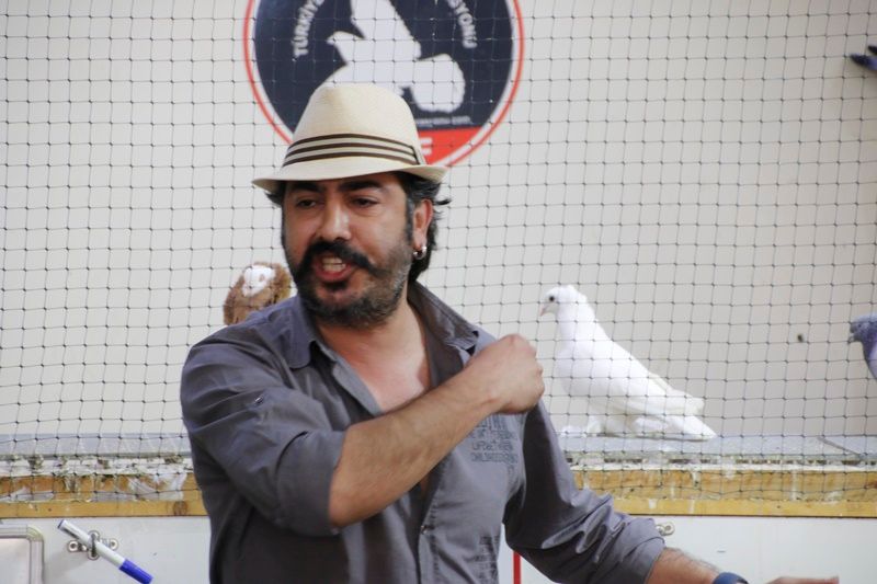 Seni Gidi Seni resimleri - Fotoğraf 2 - Beyazperde.com