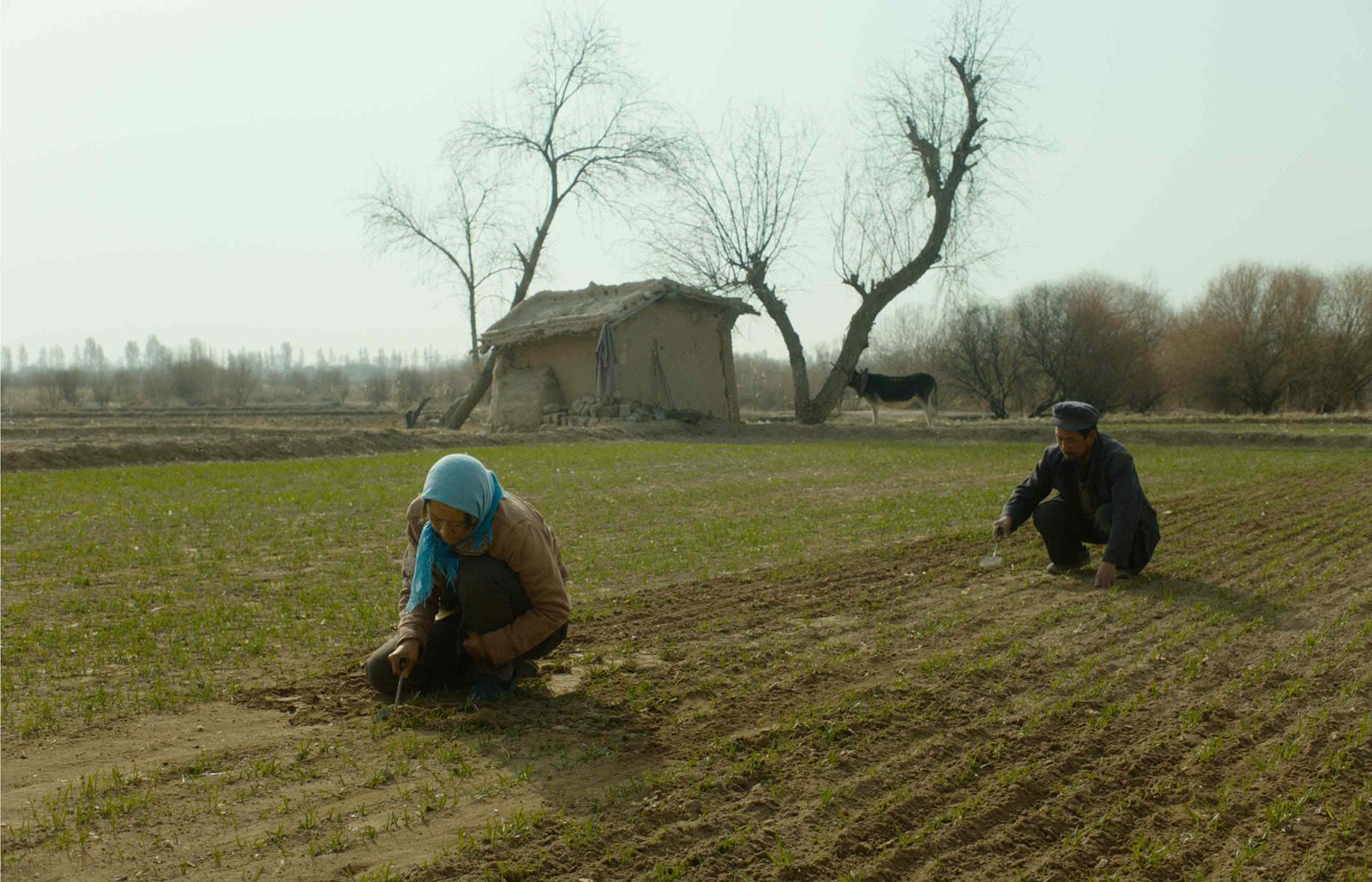 Yin Ru Chen Yan resimleri - Fotoğraf 13 - Beyazperde.com