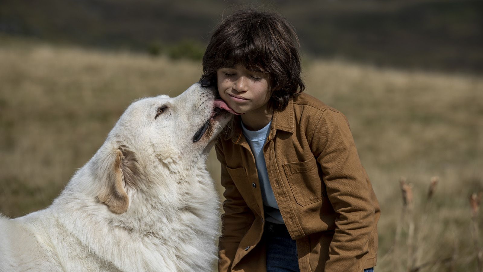 Belle ve Sebastian: Cesur Dostum resimleri - Fotoğraf 21 - Beyazperde.com