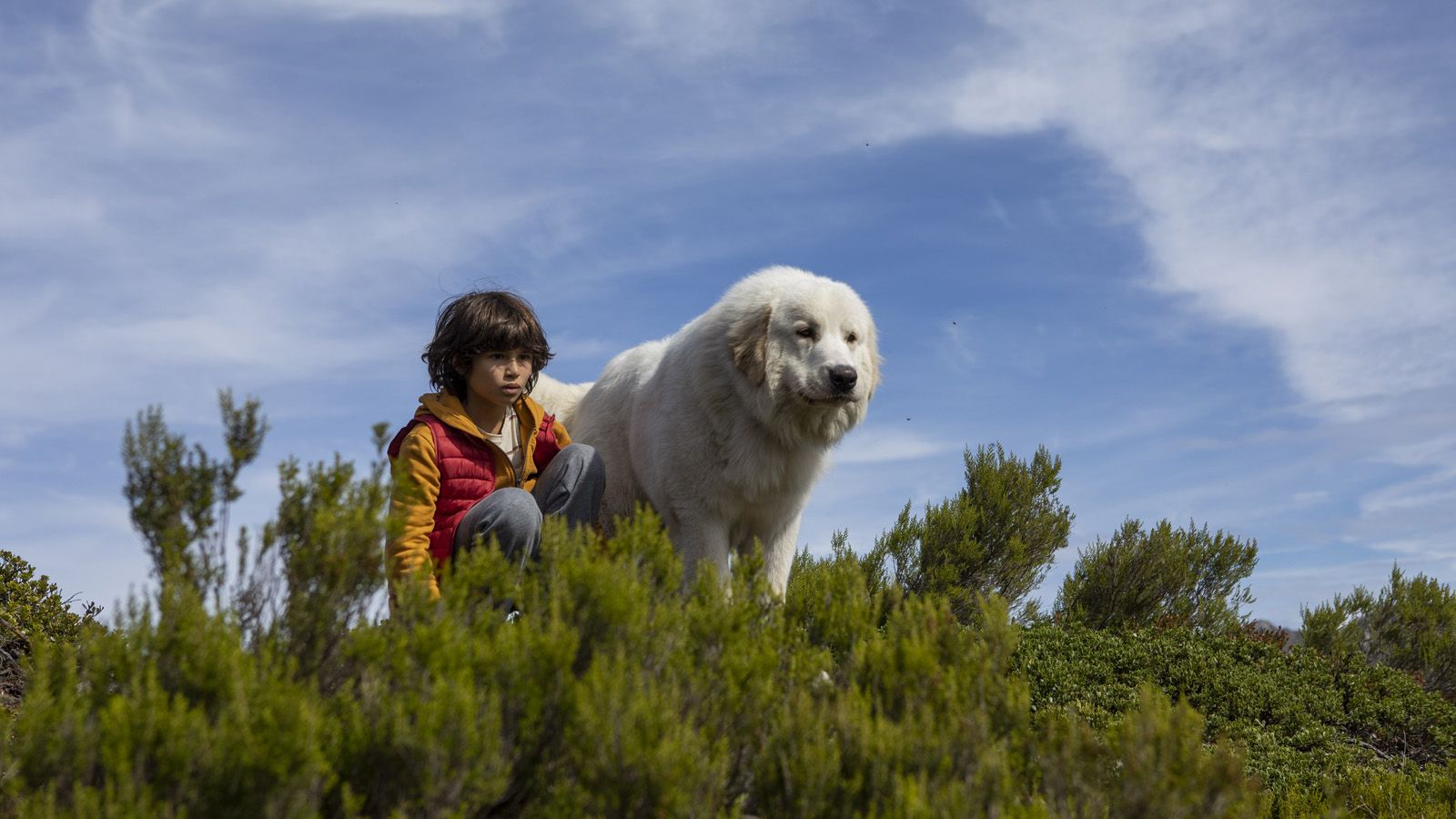 Belle ve Sebastian: Cesur Dostum resimleri - Fotoğraf 17 - Beyazperde.com