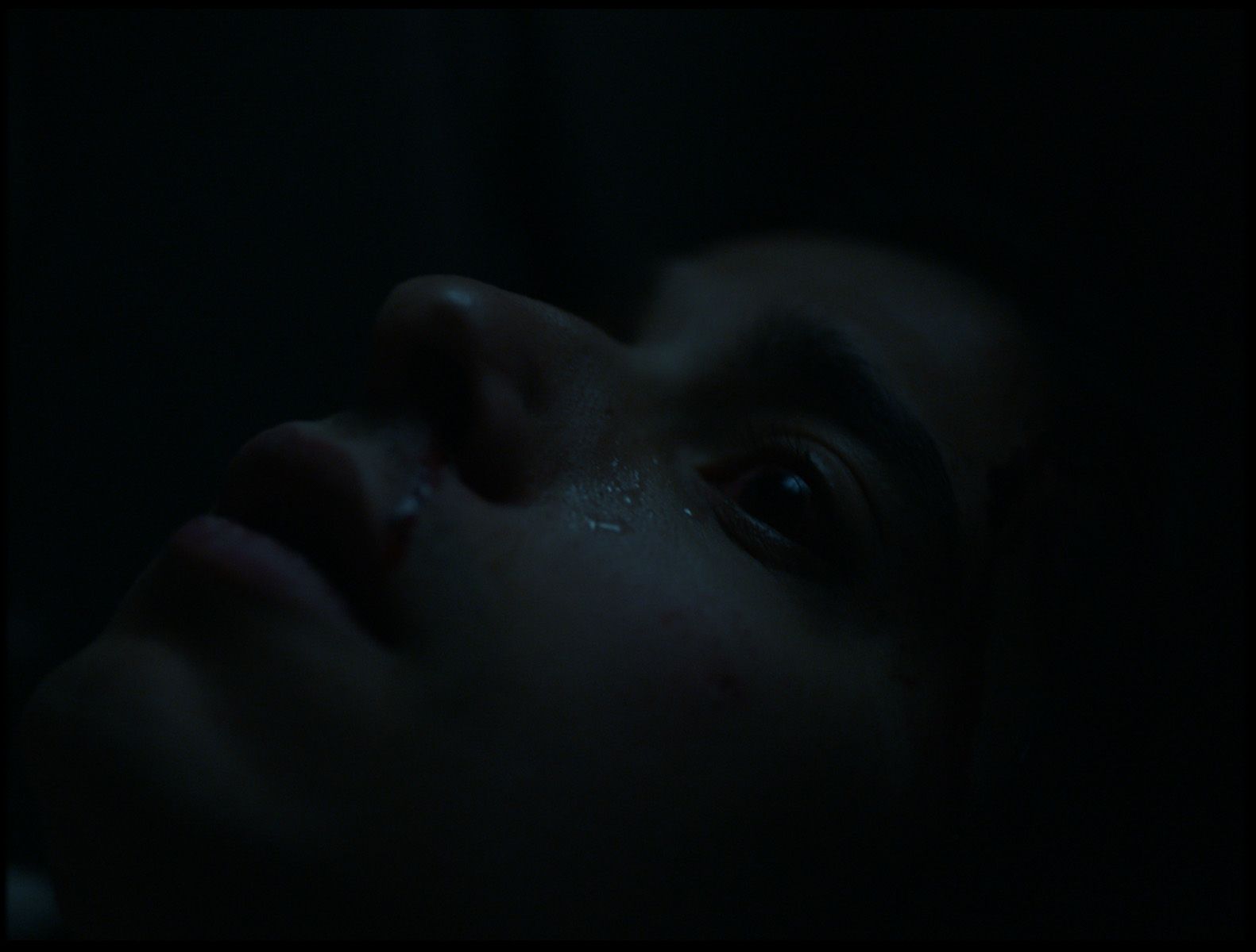 Hayvanlar resimleri - Fotoğraf 6 - Beyazperde.com