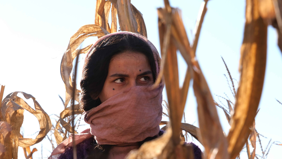 Dilberay Teaser - Beyazperde.com